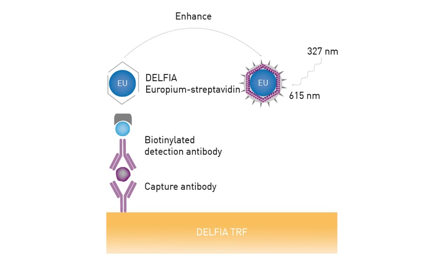 DELFIA immunoassay with matched antibody pairs | BMG LABTECH