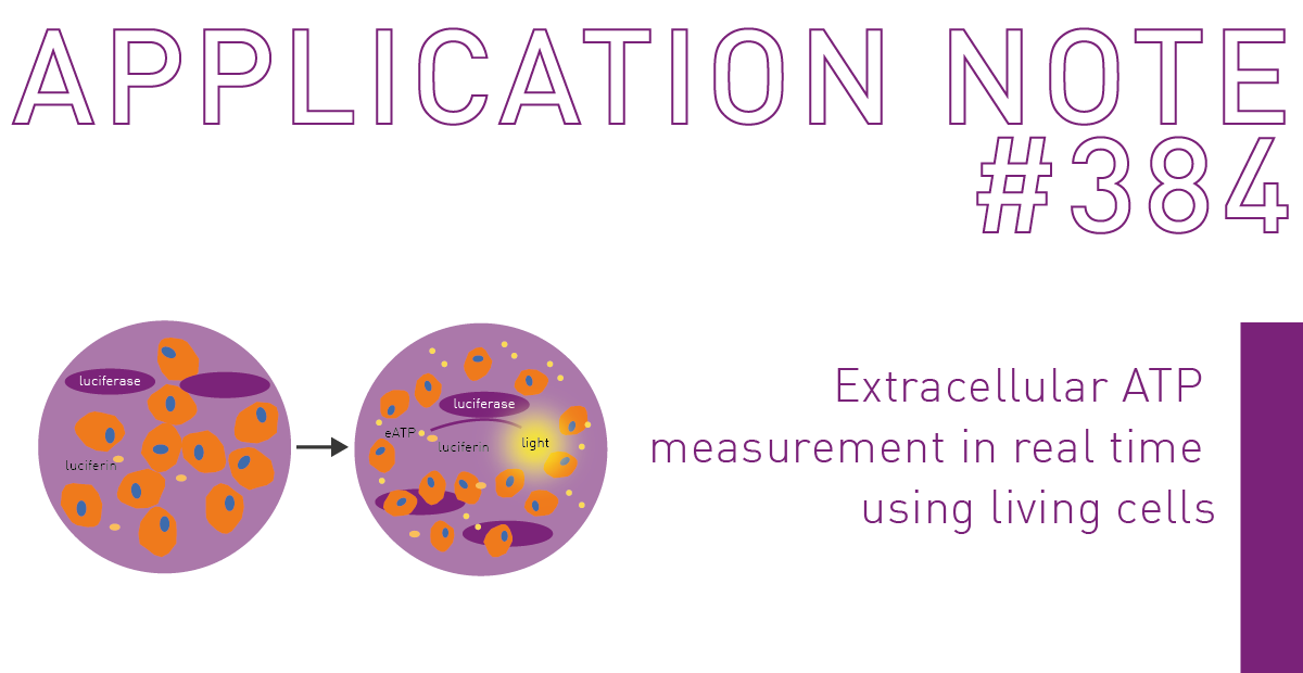 Extracellular ATP measurement in living cells | BMG LABTECH