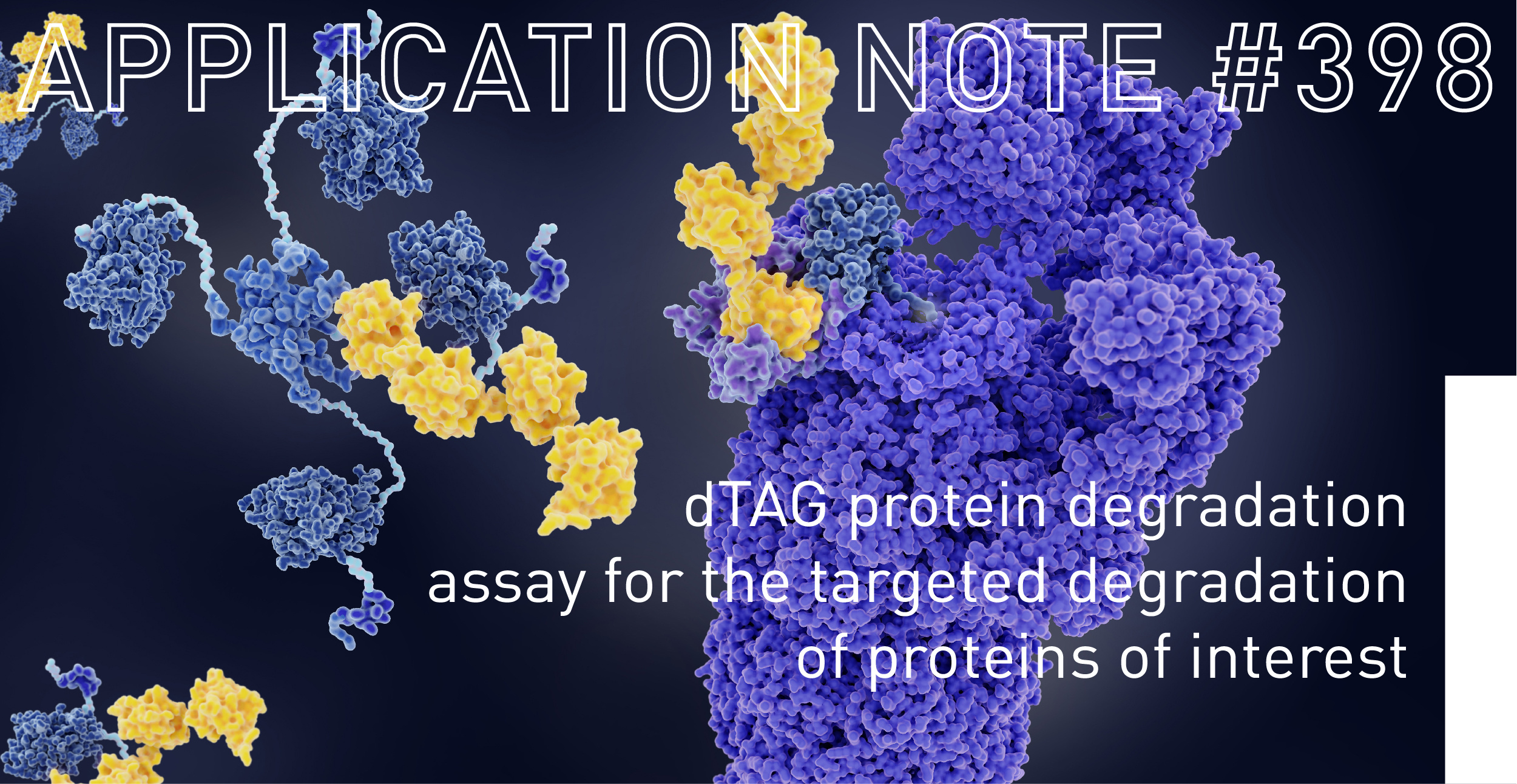 dTAG Assay for Targeted Degradation of Proteins | BMG LABTECH