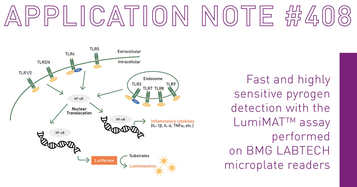 Rapid Pyrogen Detection with LumiMAT™ on plate readers | BMG LABTECH