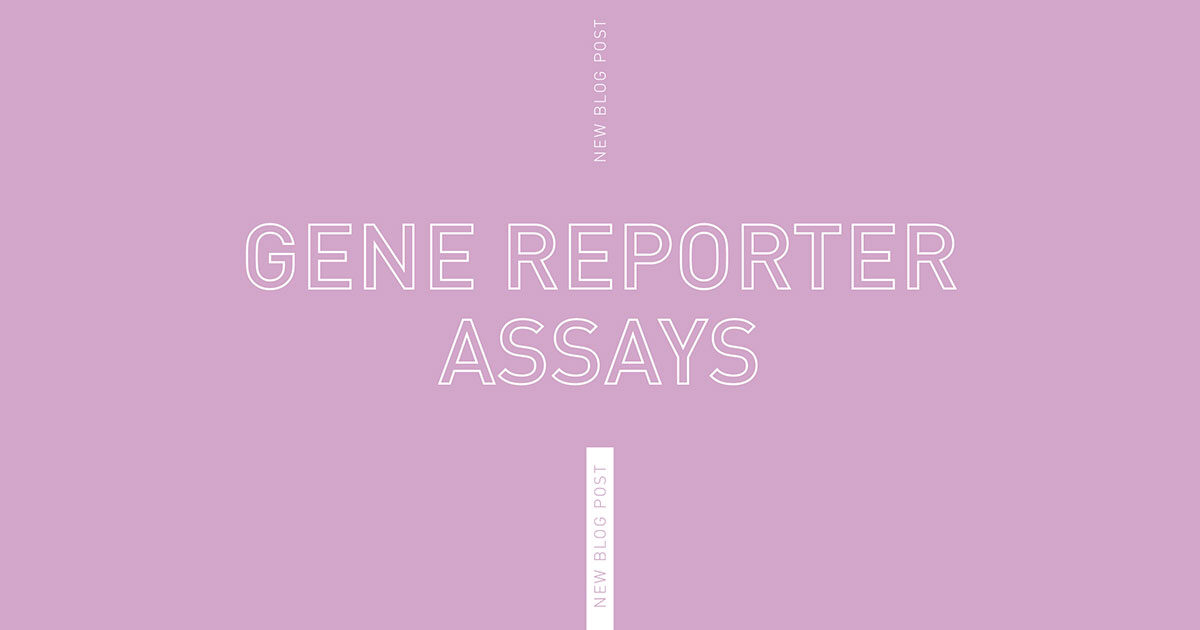 Gene reporter assays | BMG LABTECH