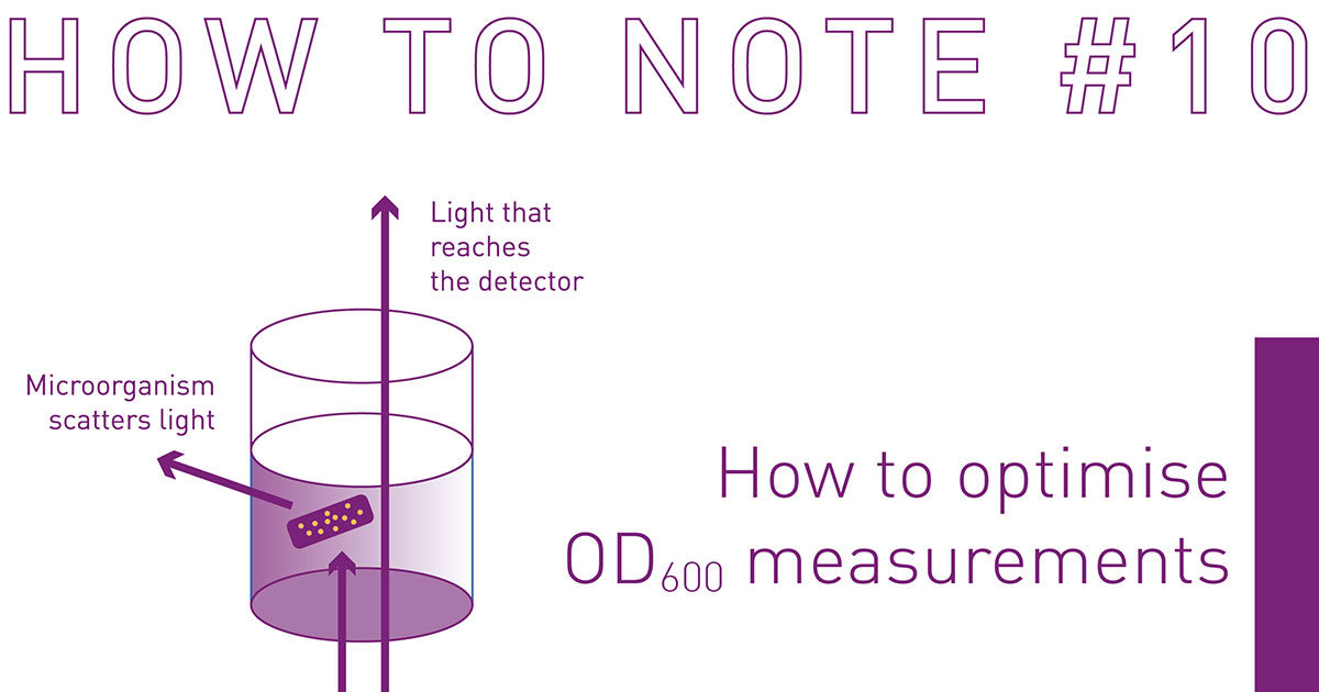 How to optimise OD600 measurements | BMG LABTECH