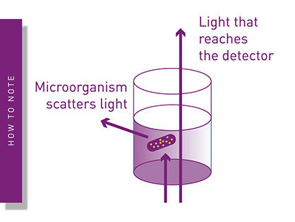 BMG LABTECH - Best-rated Microplate Readers