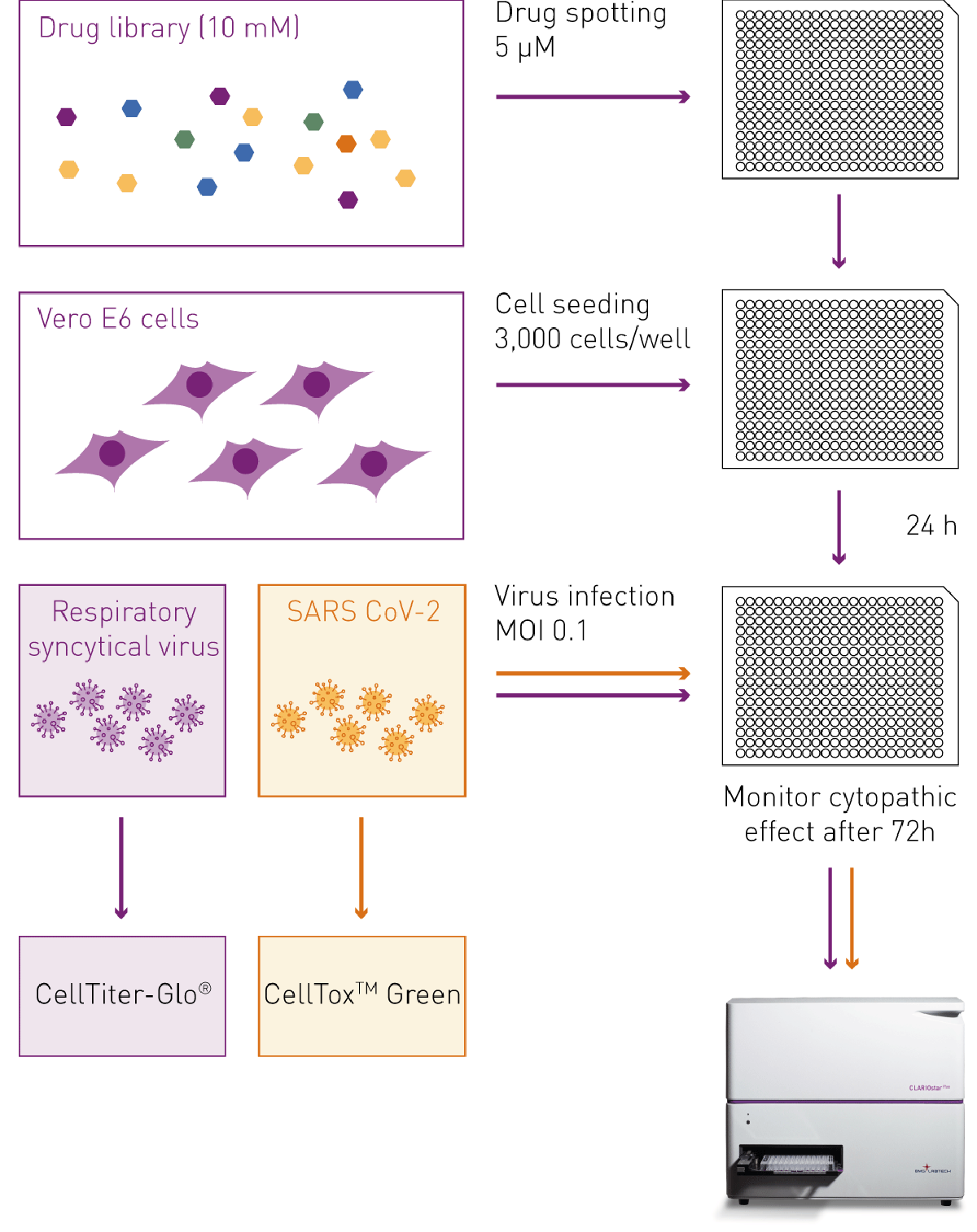 Viral Cytopathic effects in a drug discovery screen | BMG LABTECH