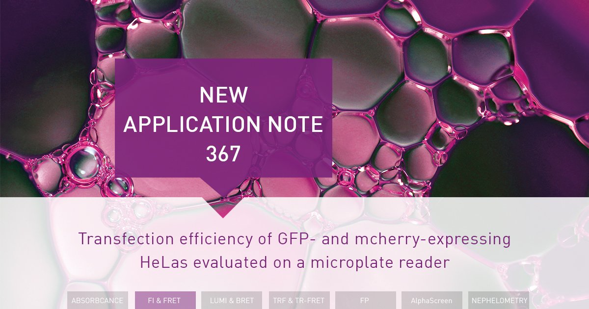 Transfection efﬁciency with ﬂuorescence-based bottom reading for GFP ...