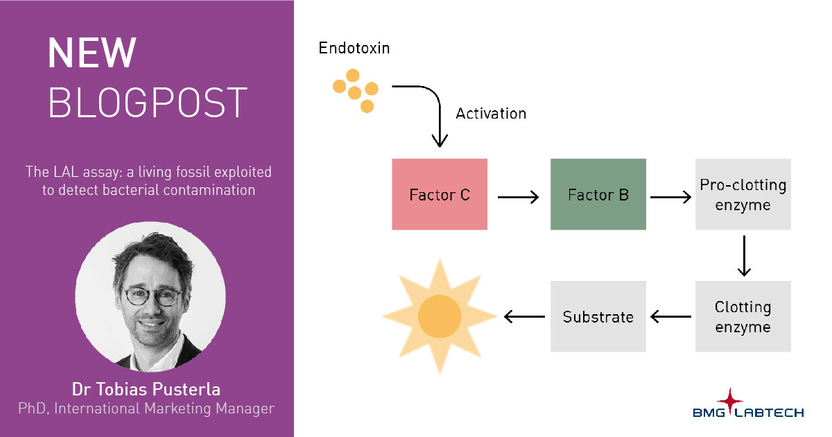 The LAL assay: detecting bacterial contamination | BMG LABTECH